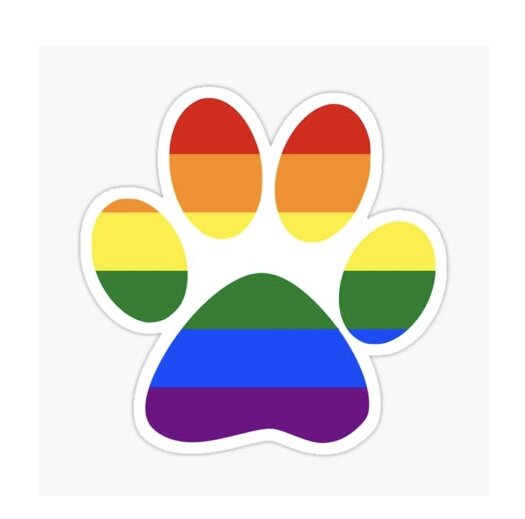 Pride Paw – Zoomies Dog